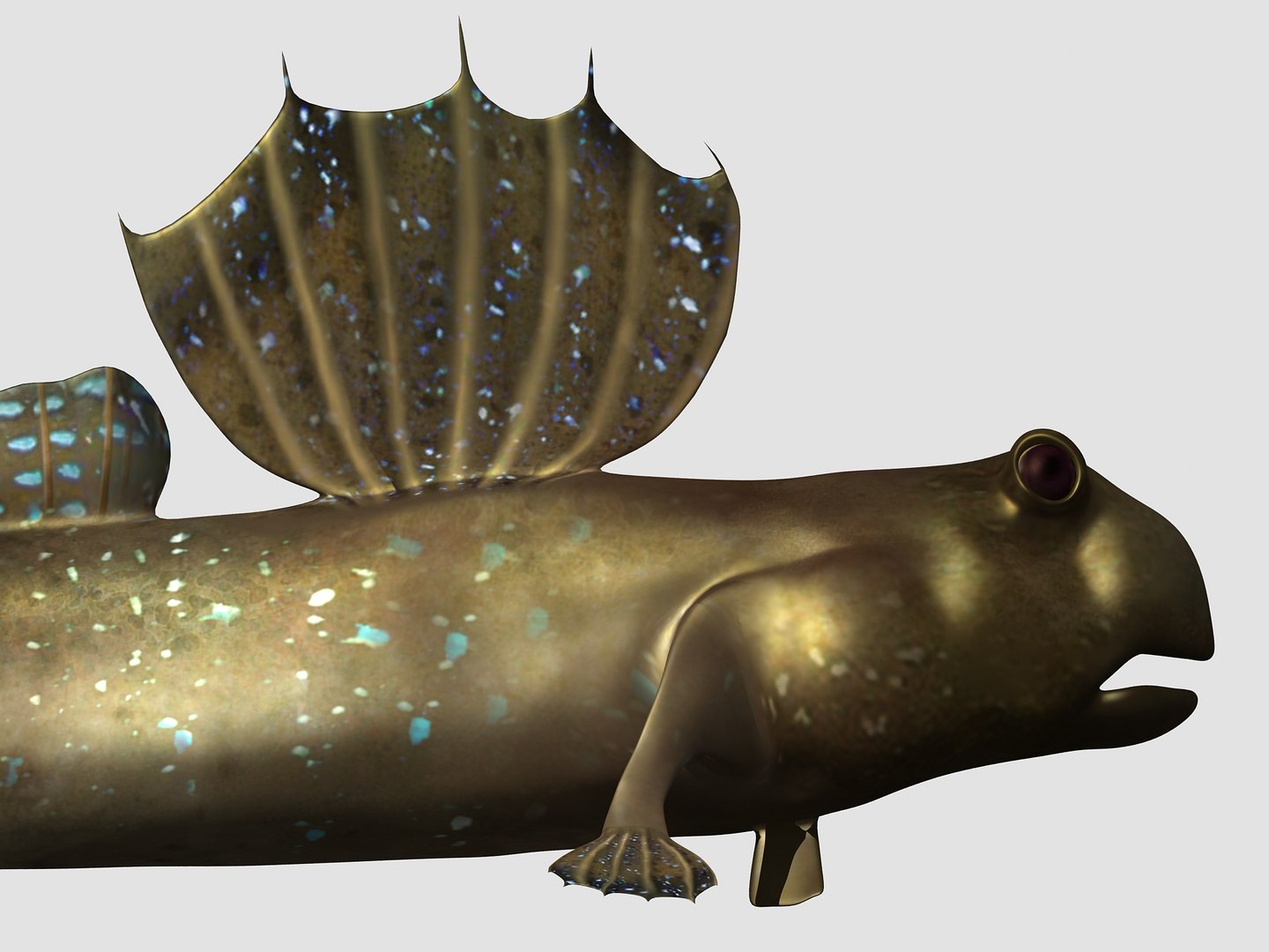 3D Jump Fish Boleophthalmus - TurboSquid 1298265