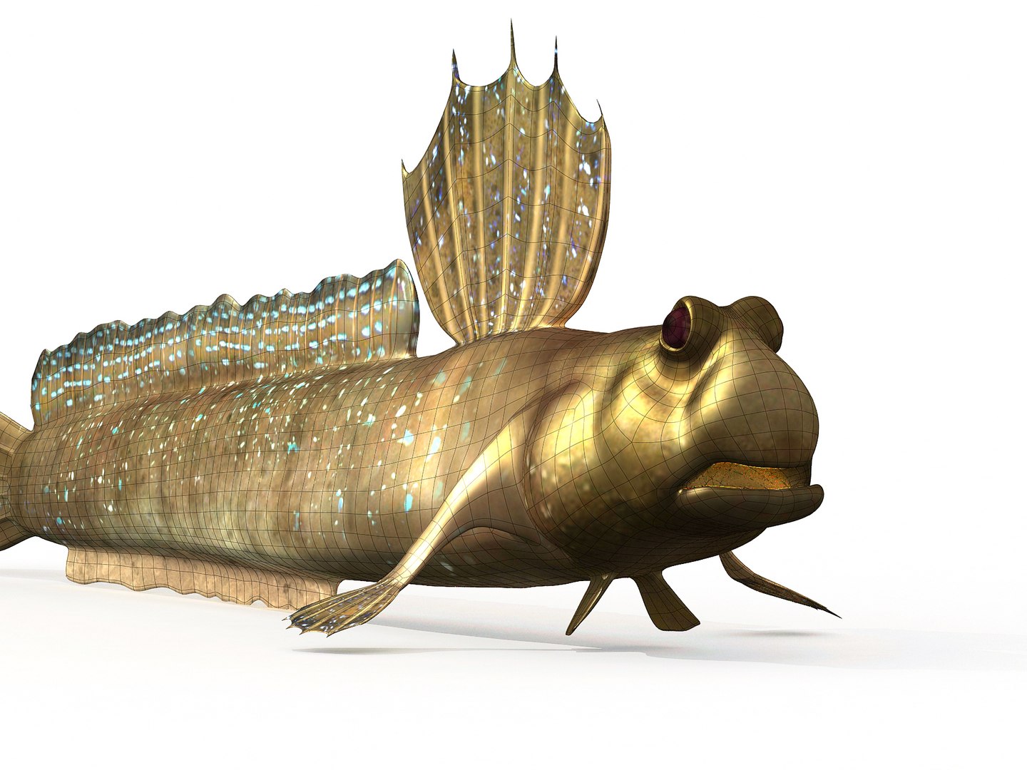 3D Jump Fish Boleophthalmus - TurboSquid 1298265