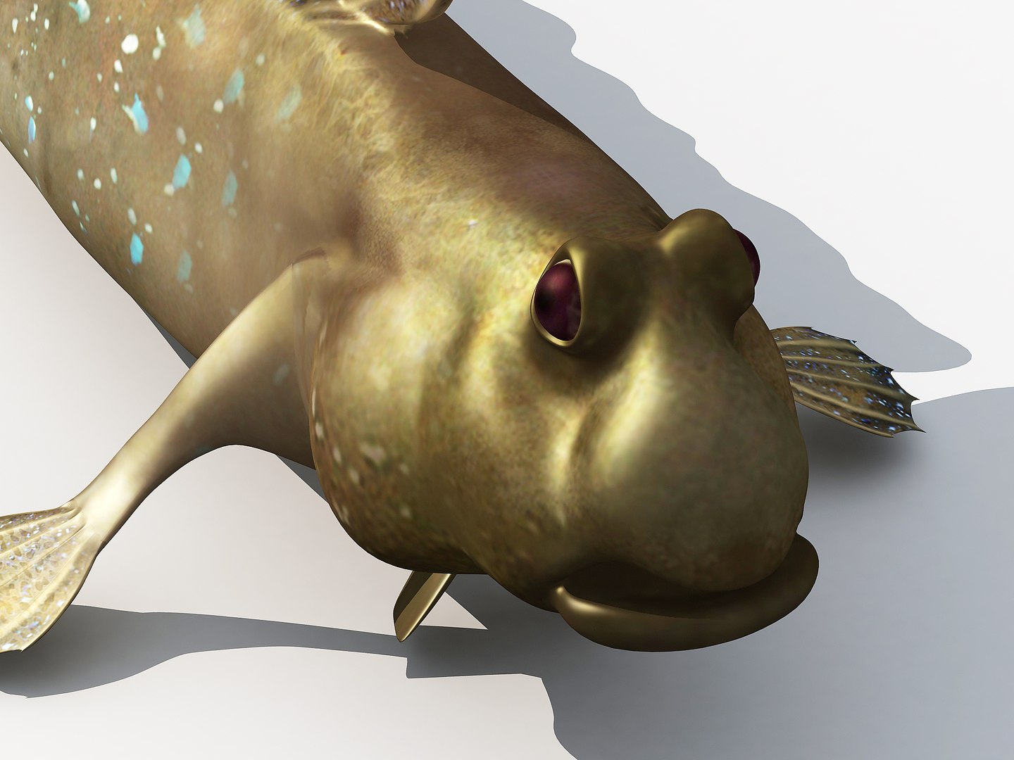 3D Jump Fish Boleophthalmus - TurboSquid 1298265
