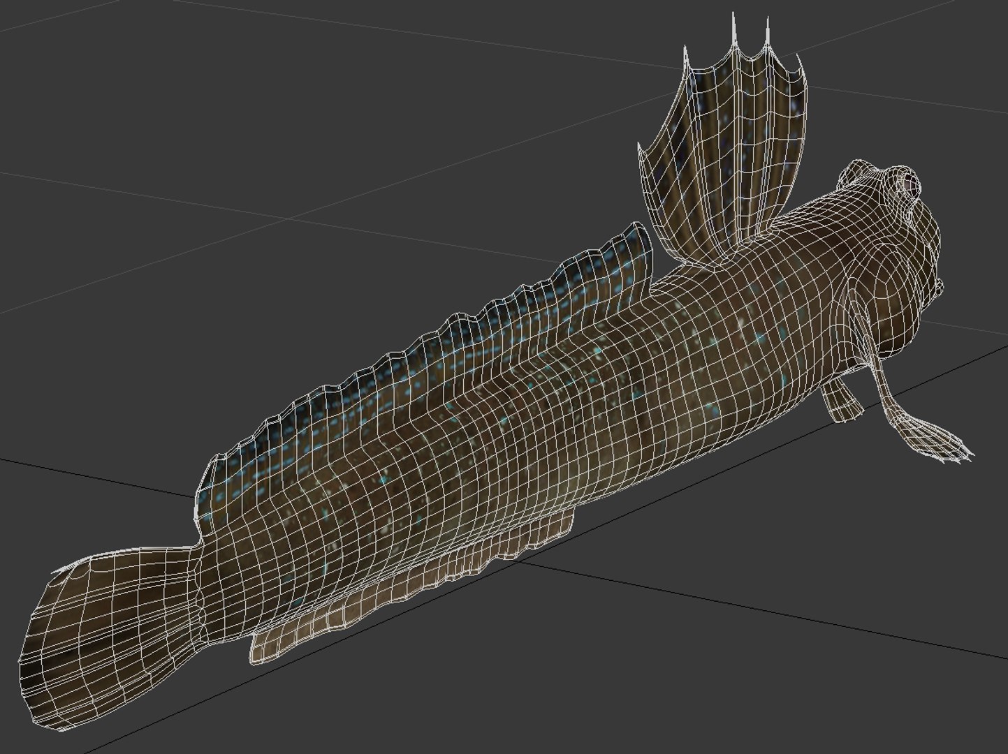 3D Jump Fish Boleophthalmus - TurboSquid 1298265