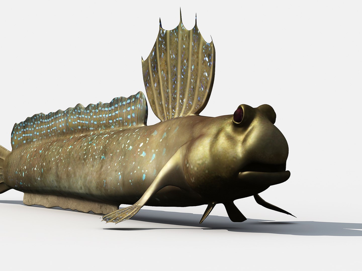 3D Jump Fish Boleophthalmus - TurboSquid 1298265