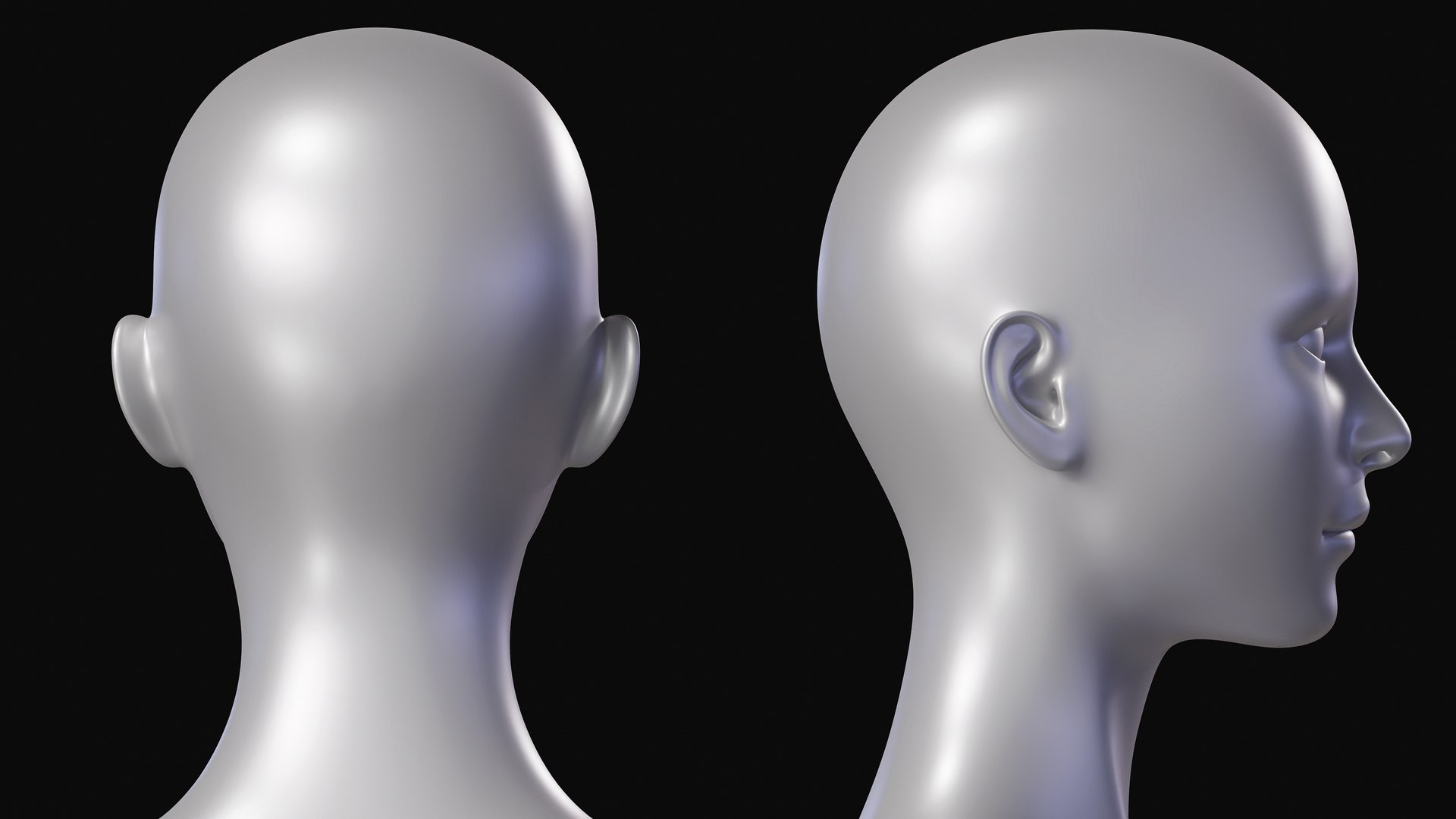 Realistic Body Base Mesh Set 3D model - TurboSquid 2018171