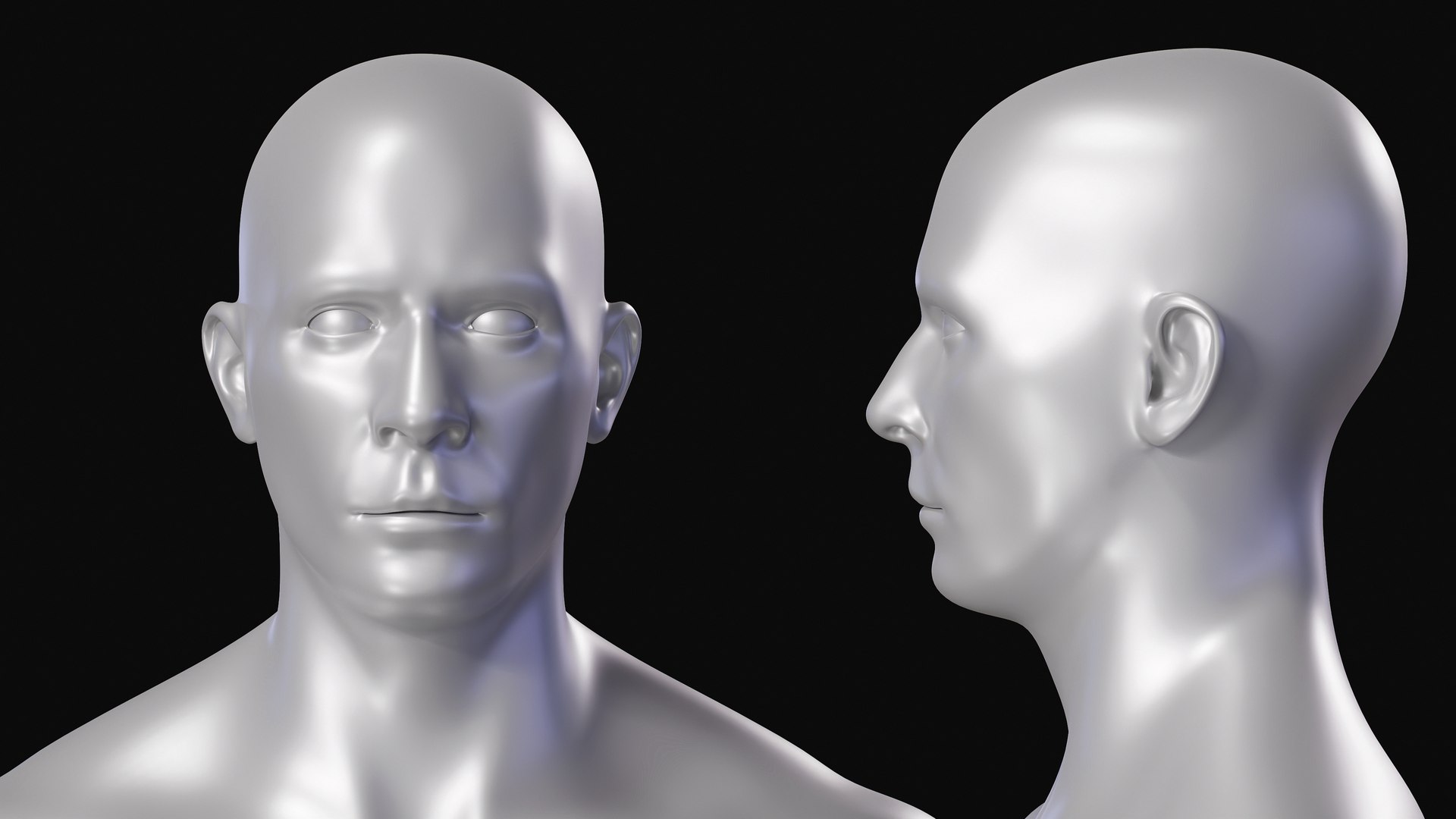 Realistic Body Base Mesh Set 3D model - TurboSquid 2018171