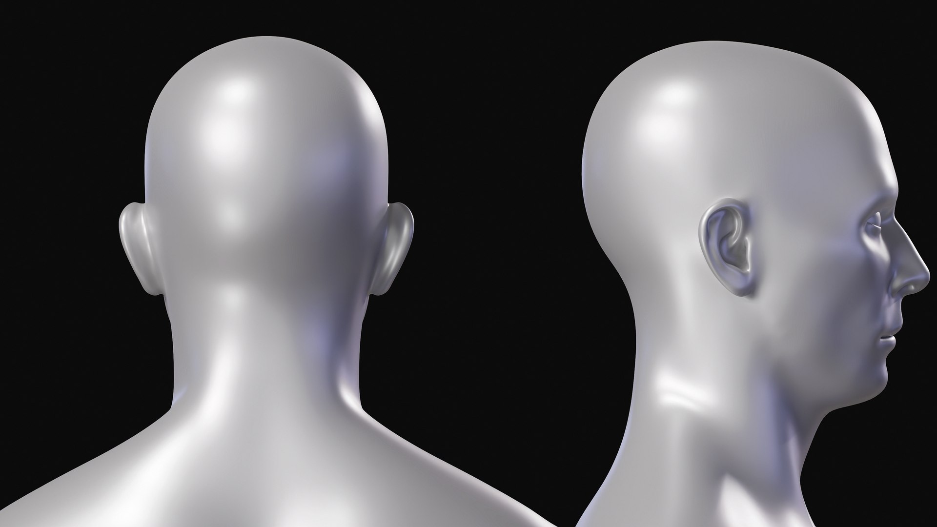 Realistic Body Base Mesh Set 3D Model - TurboSquid 2018171