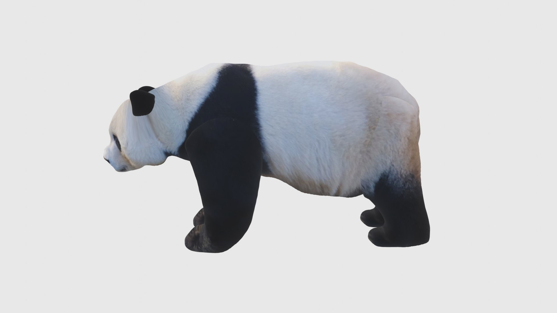3D Low Poly Panda Rigged With Realistic Texture Model - TurboSquid 1876149
