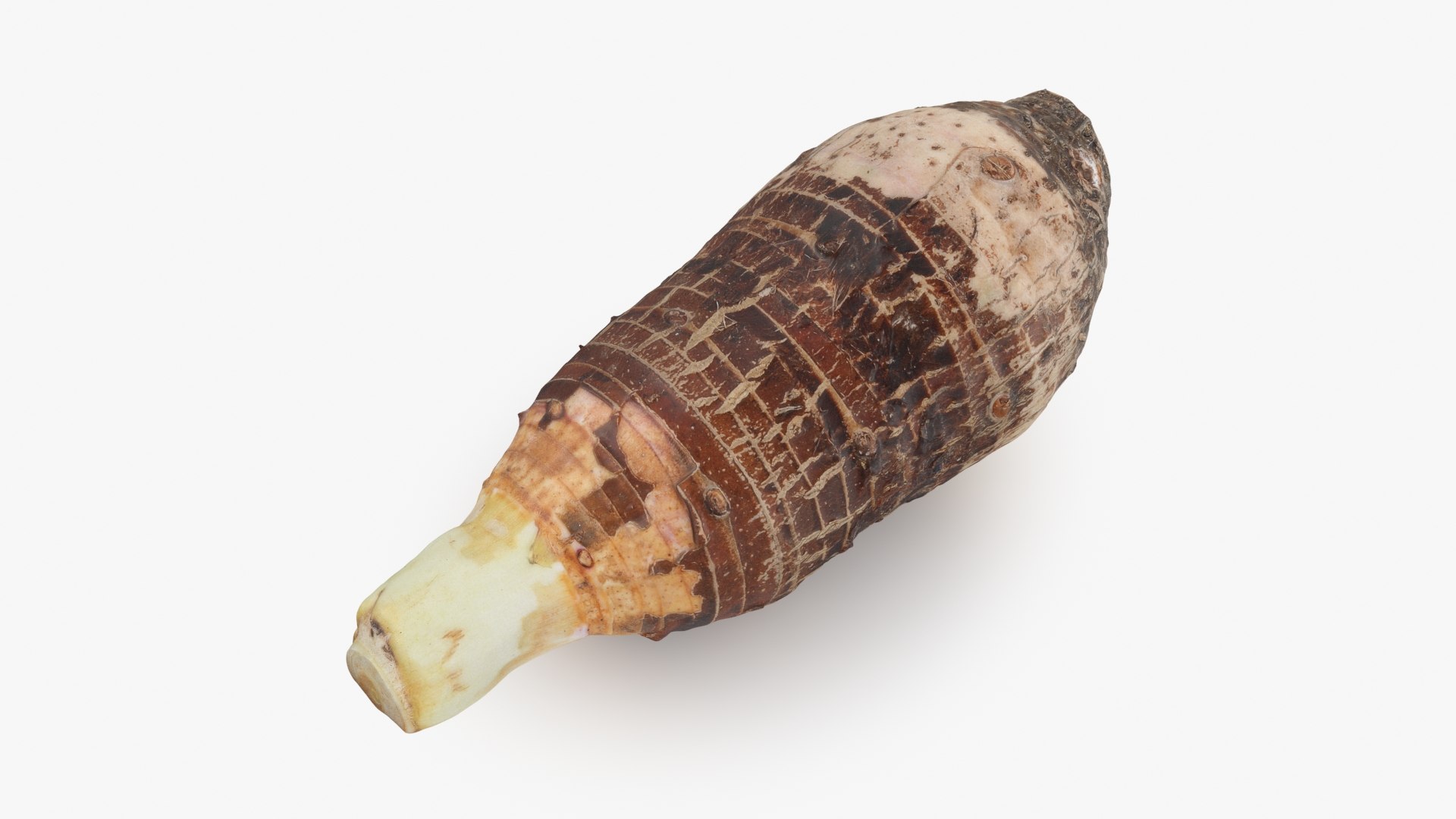 3D Taro - TurboSquid 2203055