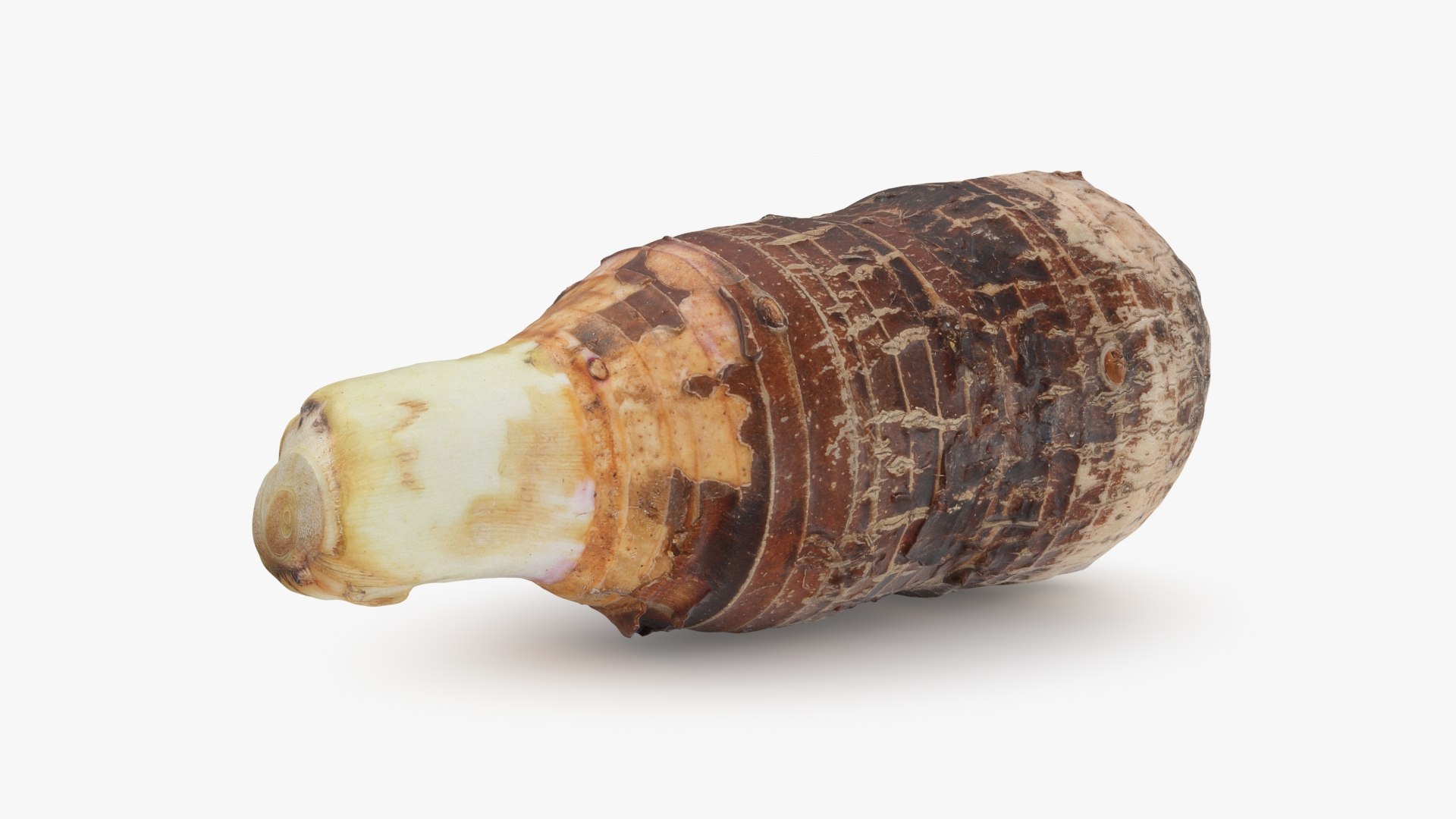 3D Taro - TurboSquid 2203055