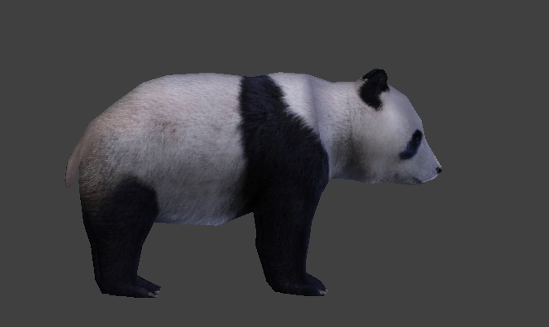 3D model panda bear - TurboSquid 1414391