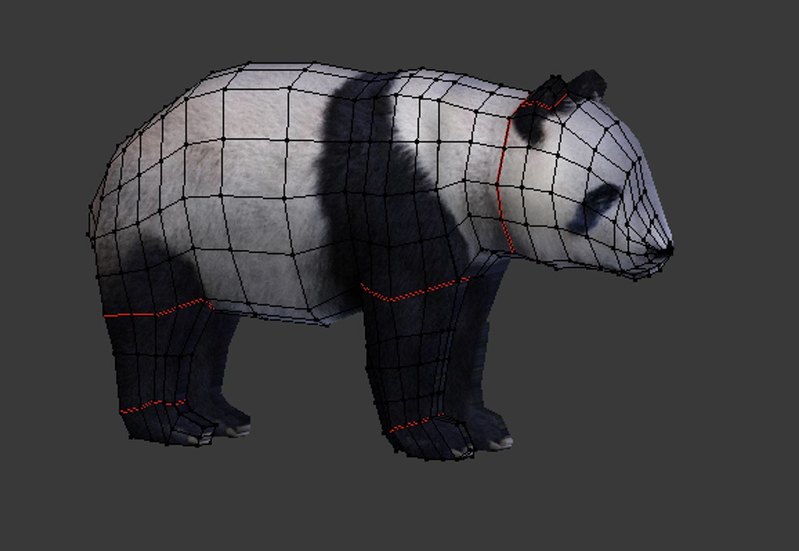 3D model panda bear - TurboSquid 1414391