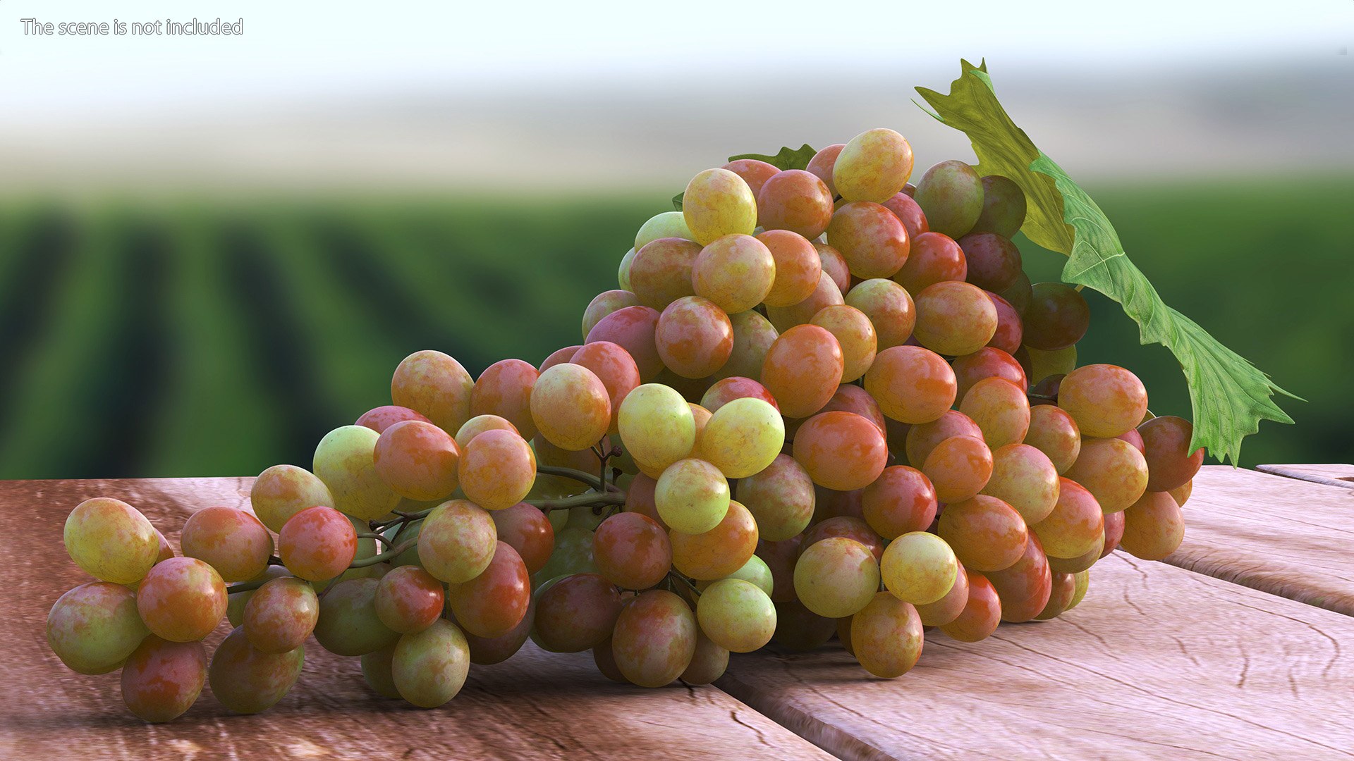 Sultana Pink Grape Cluster Lying 3D - TurboSquid 2177353