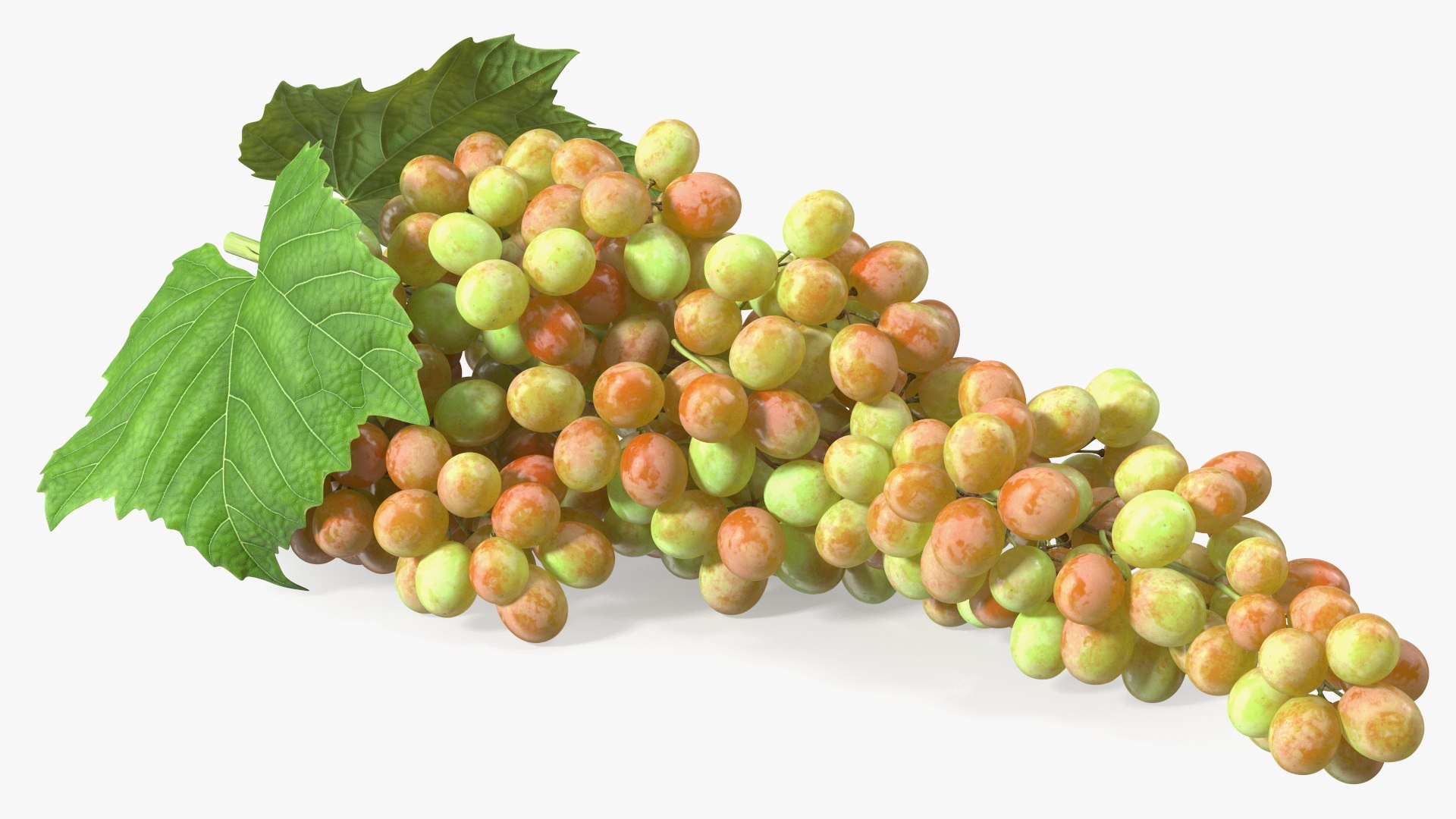 Sultana Pink Grape Cluster Lying 3D - TurboSquid 2177353