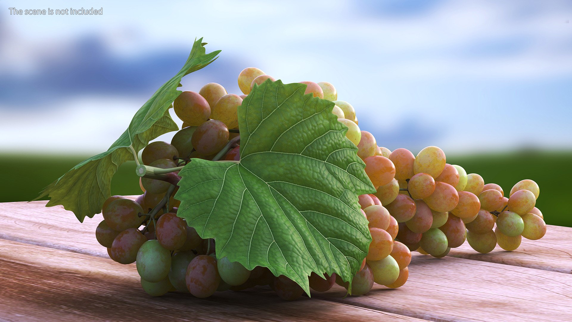 Sultana Pink Grape Cluster Lying 3D - TurboSquid 2177353