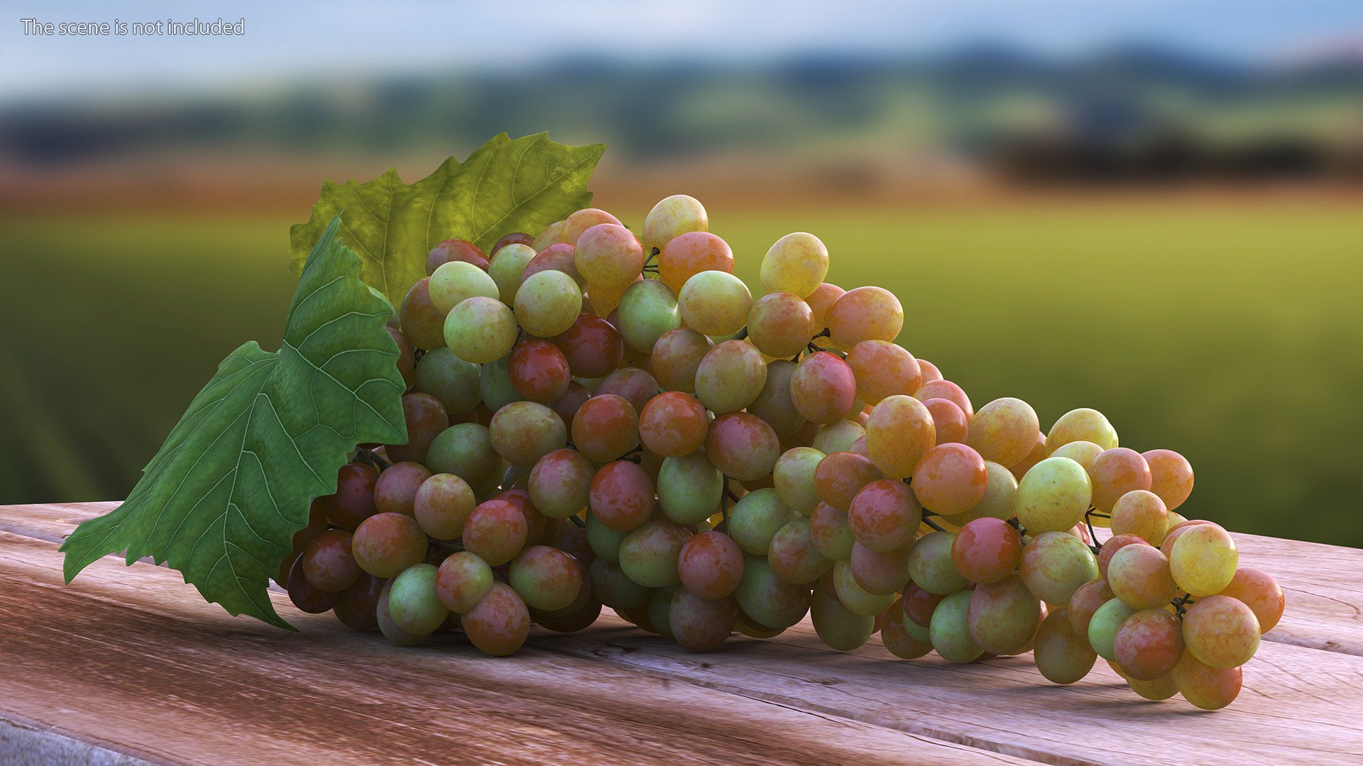 Sultana Pink Grape Cluster Lying 3D - TurboSquid 2177353