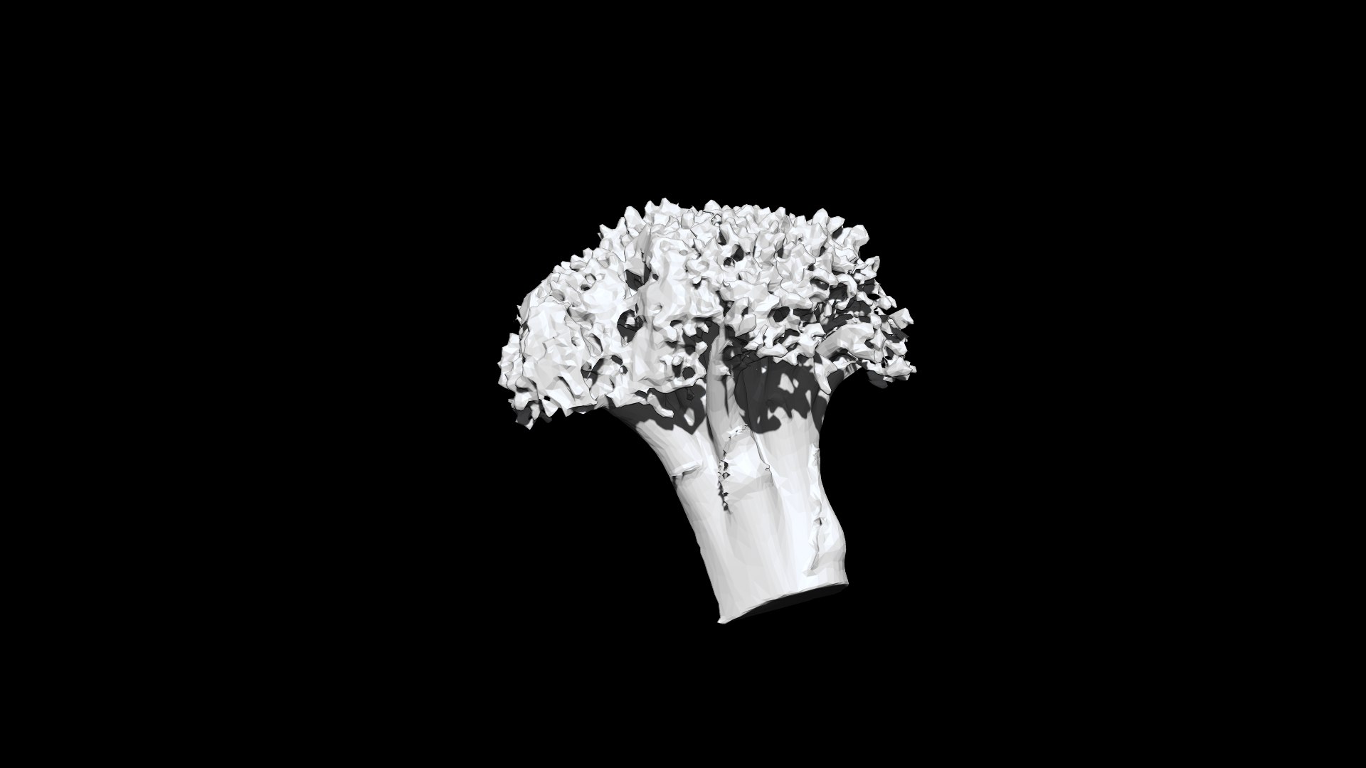 Broccoli Cut 3D CT Scan Model 4 Decimate 30percent 3D - TurboSquid 1886448