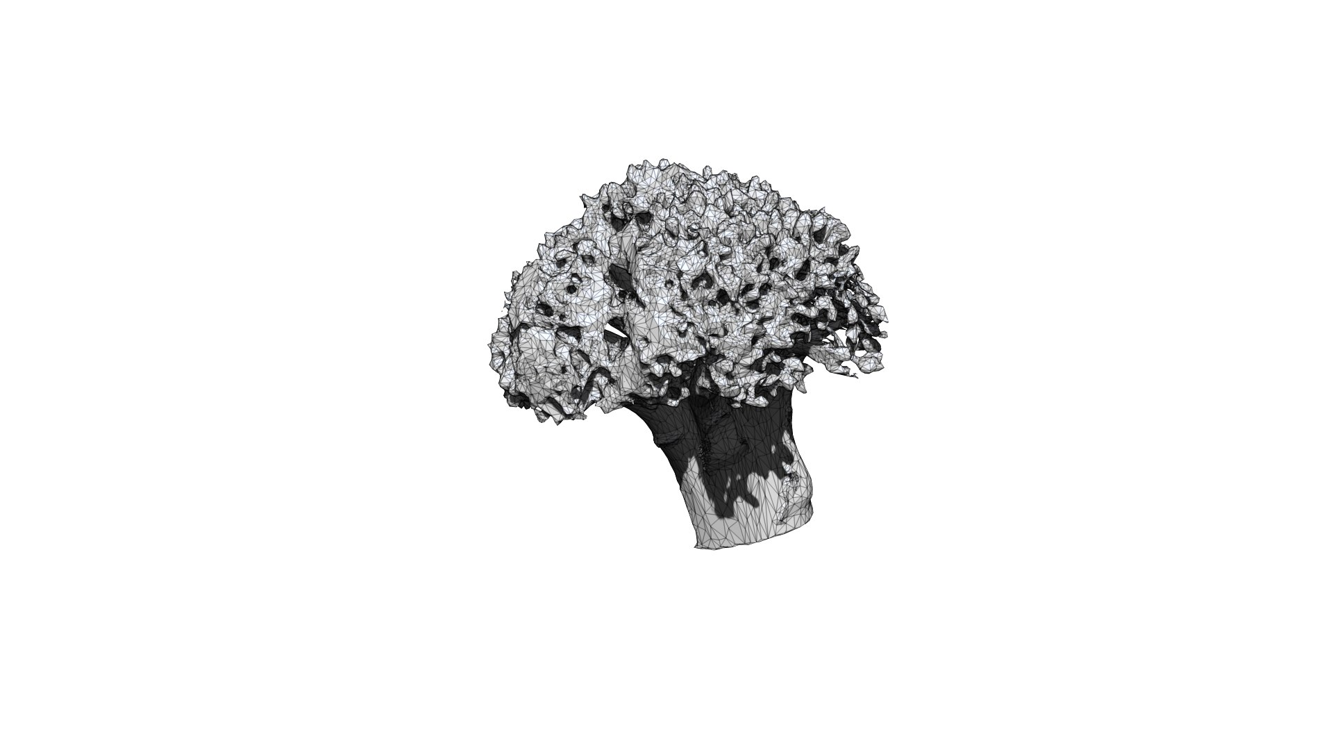 Broccoli Cut 3D CT Scan Model 4 Decimate 30percent 3D - TurboSquid 1886448