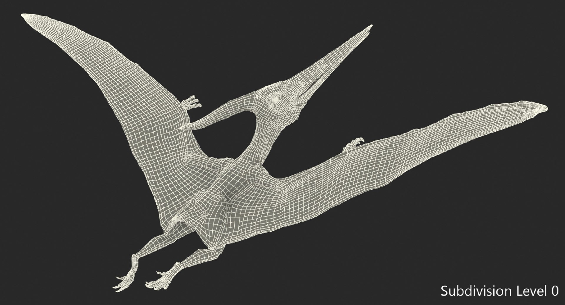 3D Model Pterosaur Pteranodon White Flying - TurboSquid 1387470