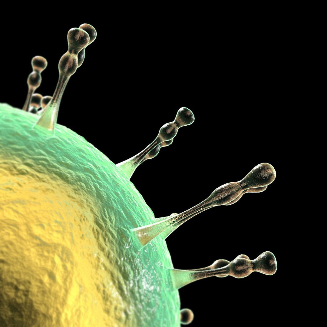 Microbes Micro Organisms Model - TurboSquid 1626186