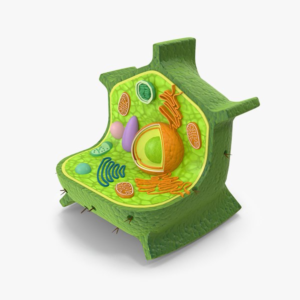 modelo 3d Estructura de las células vegetales - TurboSquid 2225448