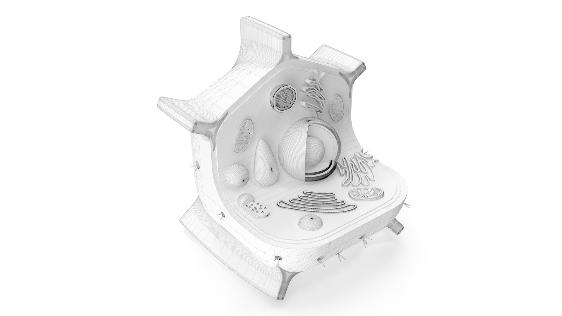 3D Plant Cell Structure - TurboSquid 2225448