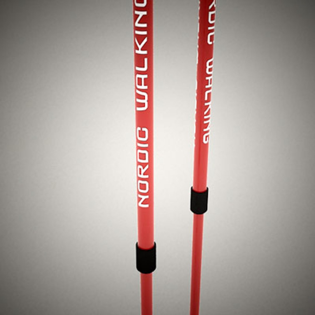 3d Nordic Walking Stick Model