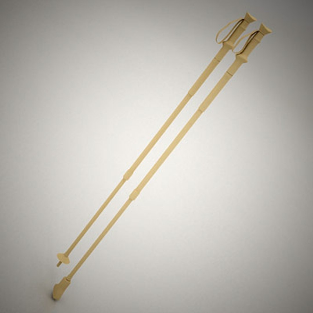 3d Nordic Walking Stick Model