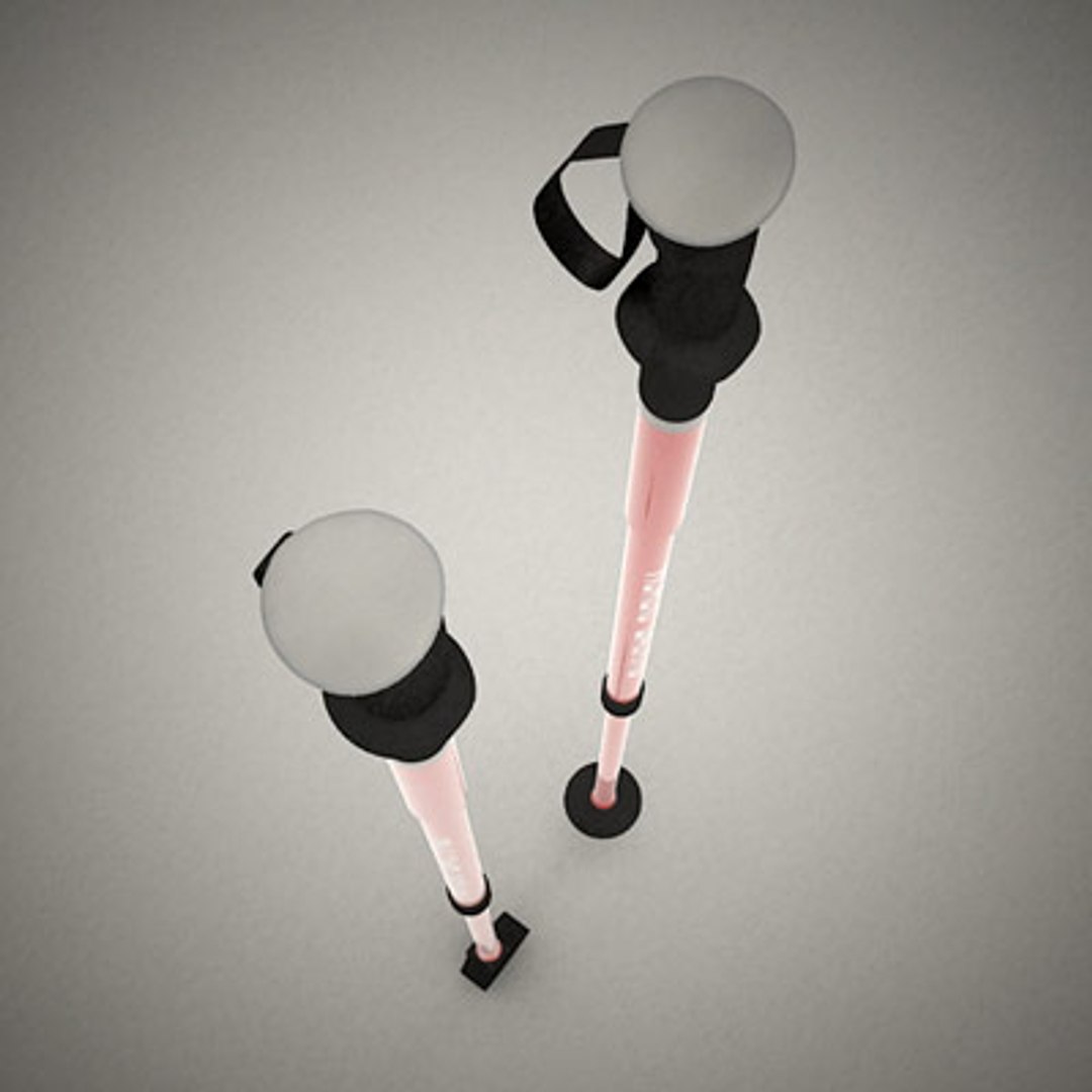 3d Nordic Walking Stick Model