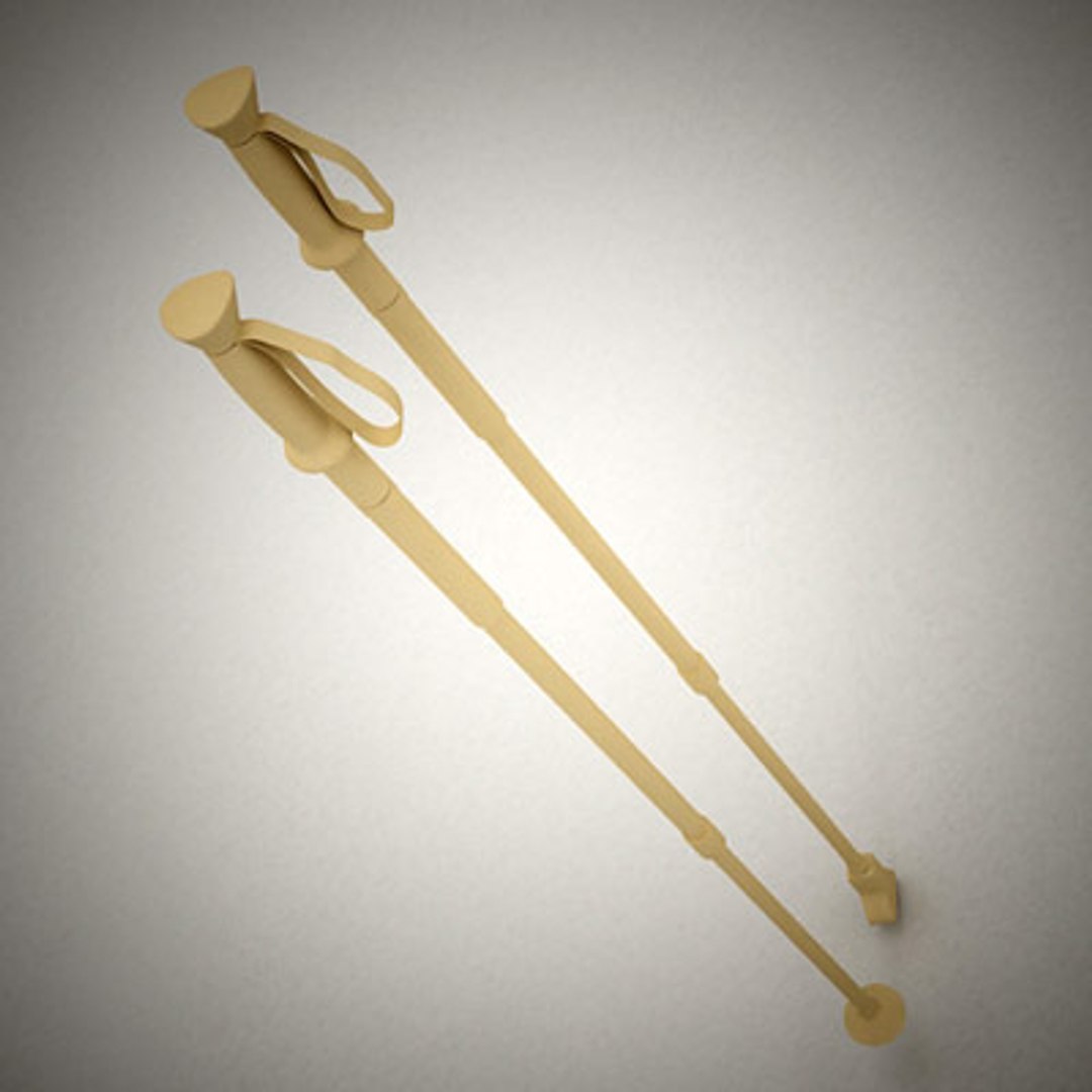 3d Nordic Walking Stick Model