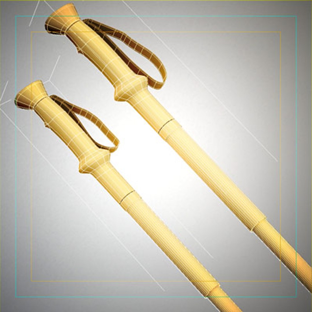 3d Nordic Walking Stick Model