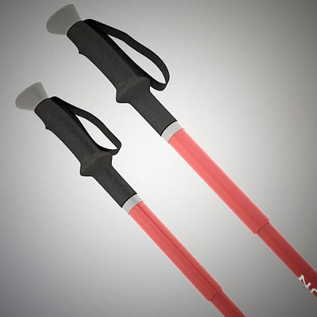 3d Nordic Walking Stick Model