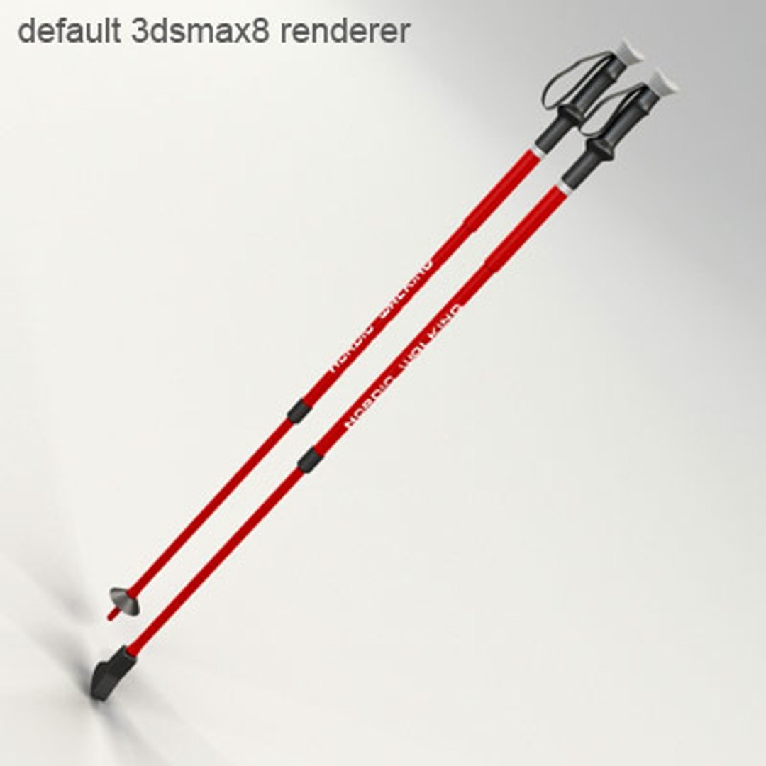 3d Nordic Walking Stick Model