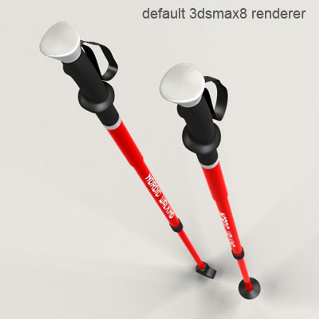 3d Nordic Walking Stick Model