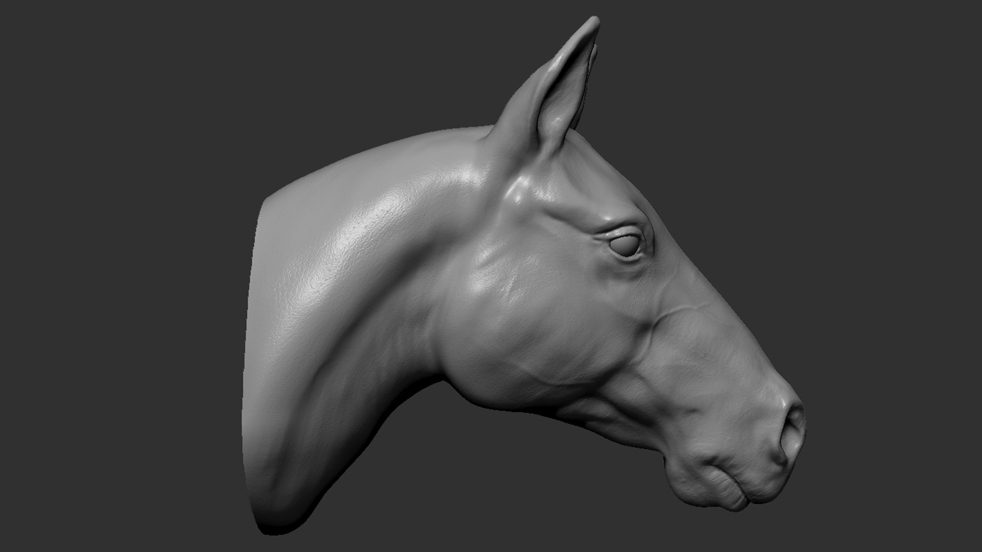 3D Horse head - TurboSquid 1746526