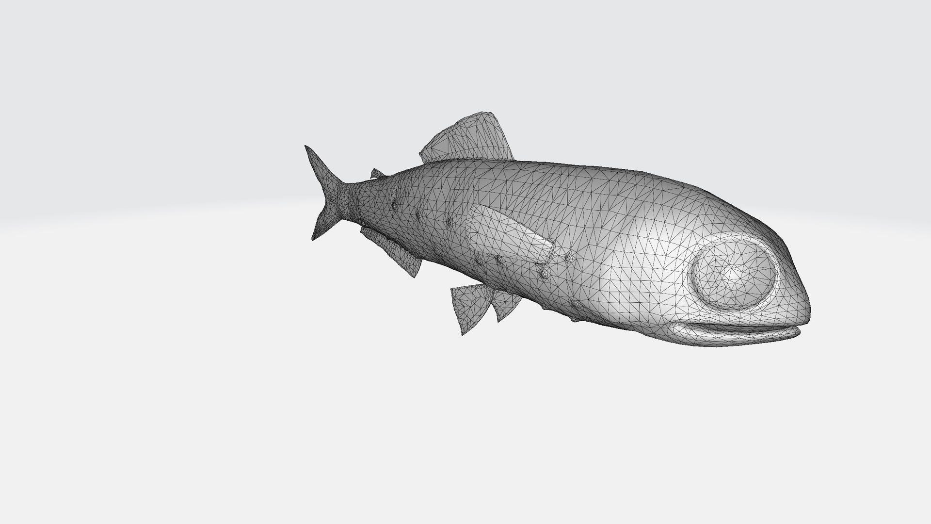 Lanternfish 3D Model - TurboSquid 2407658