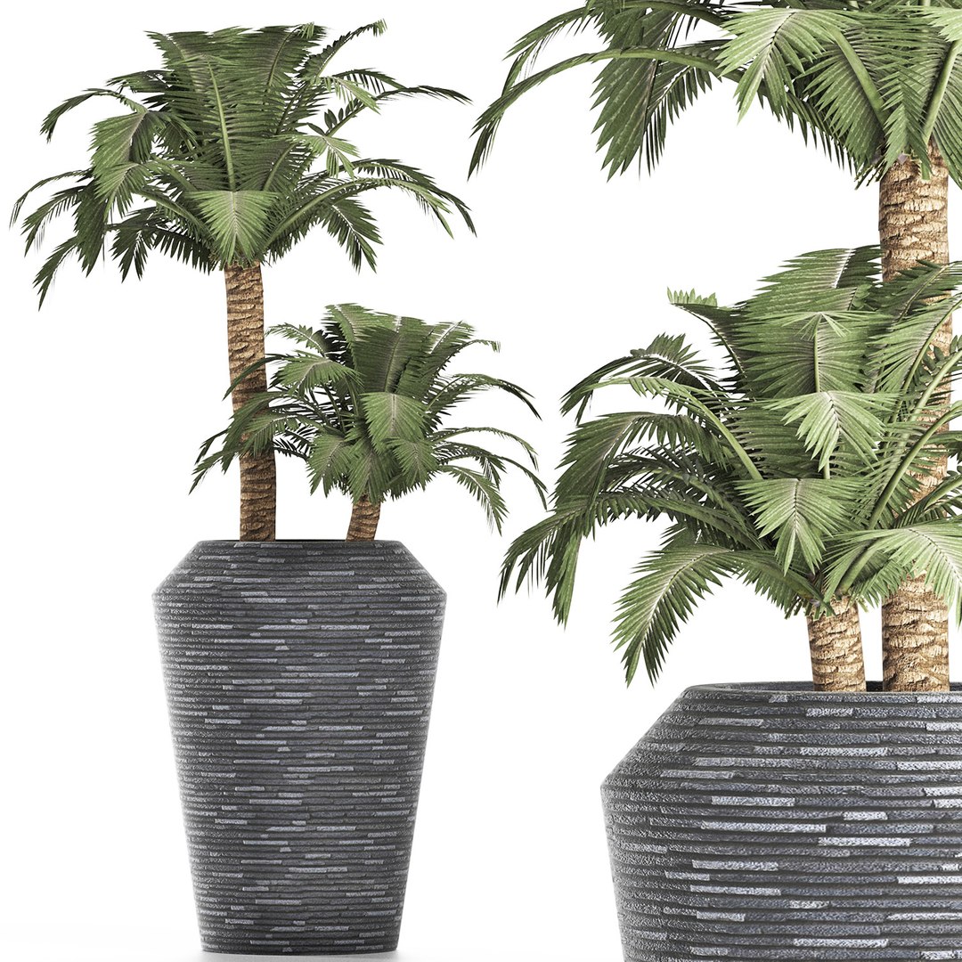 3D Palm Tree Plant Pot - TurboSquid 1687013