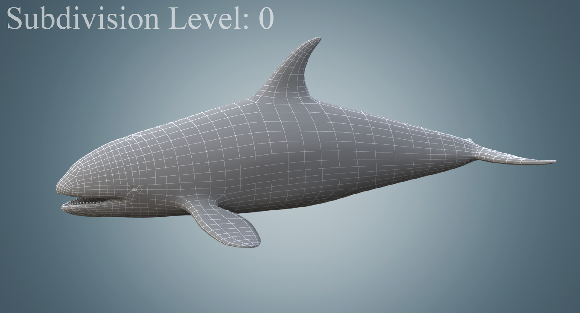 realistic killer whale orca 3d max