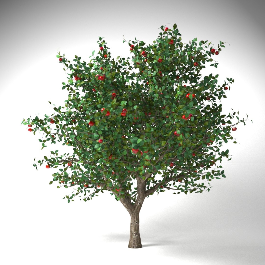 Apple Tree 5 Model - TurboSquid 1195324