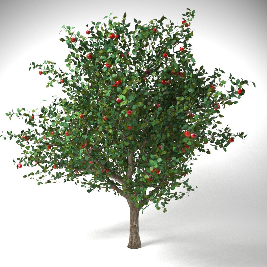 Apple Tree 5 Model - TurboSquid 1195324
