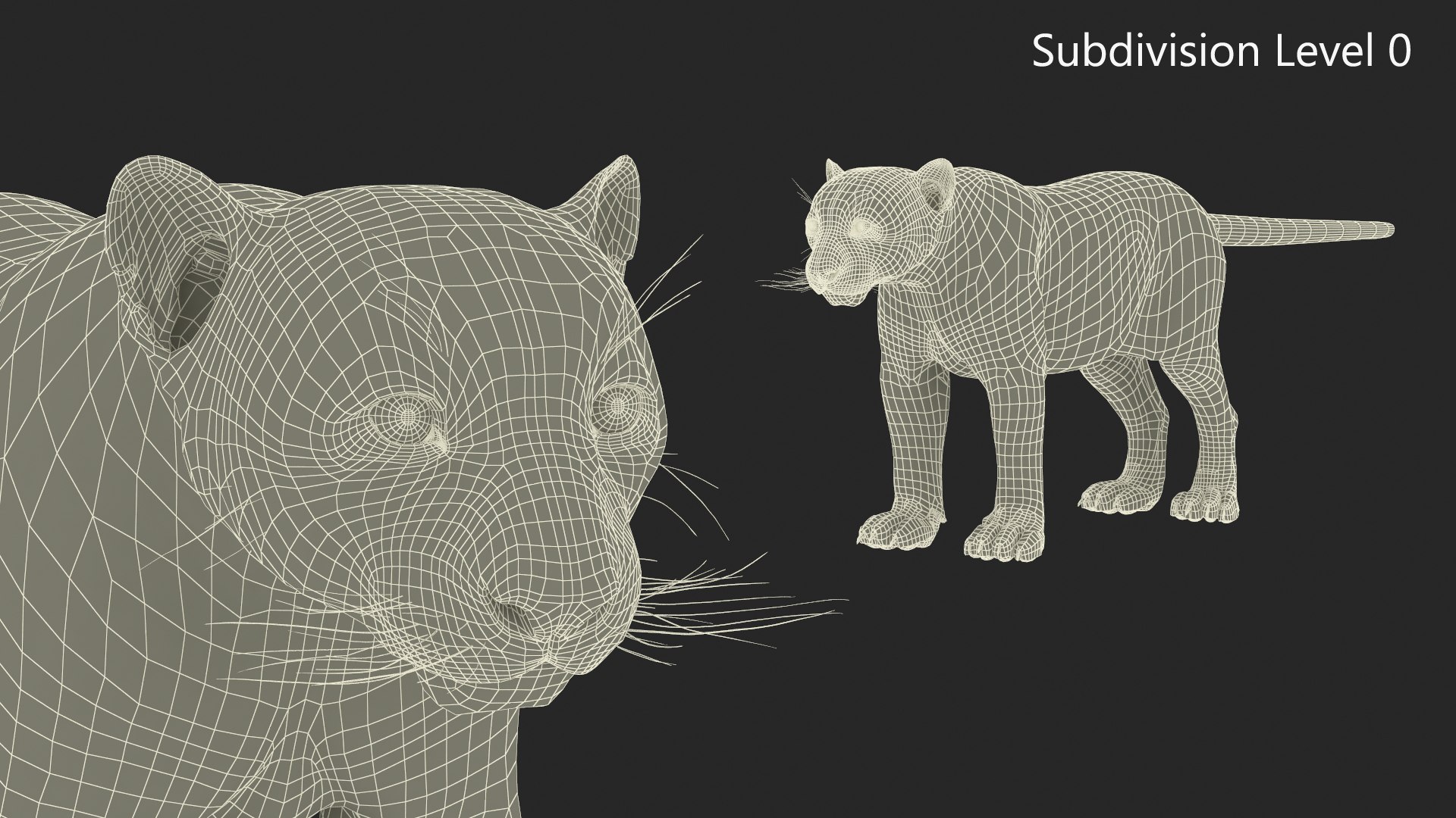 Snow Leopard Rigged For Maya 3D Model - TurboSquid 2381684