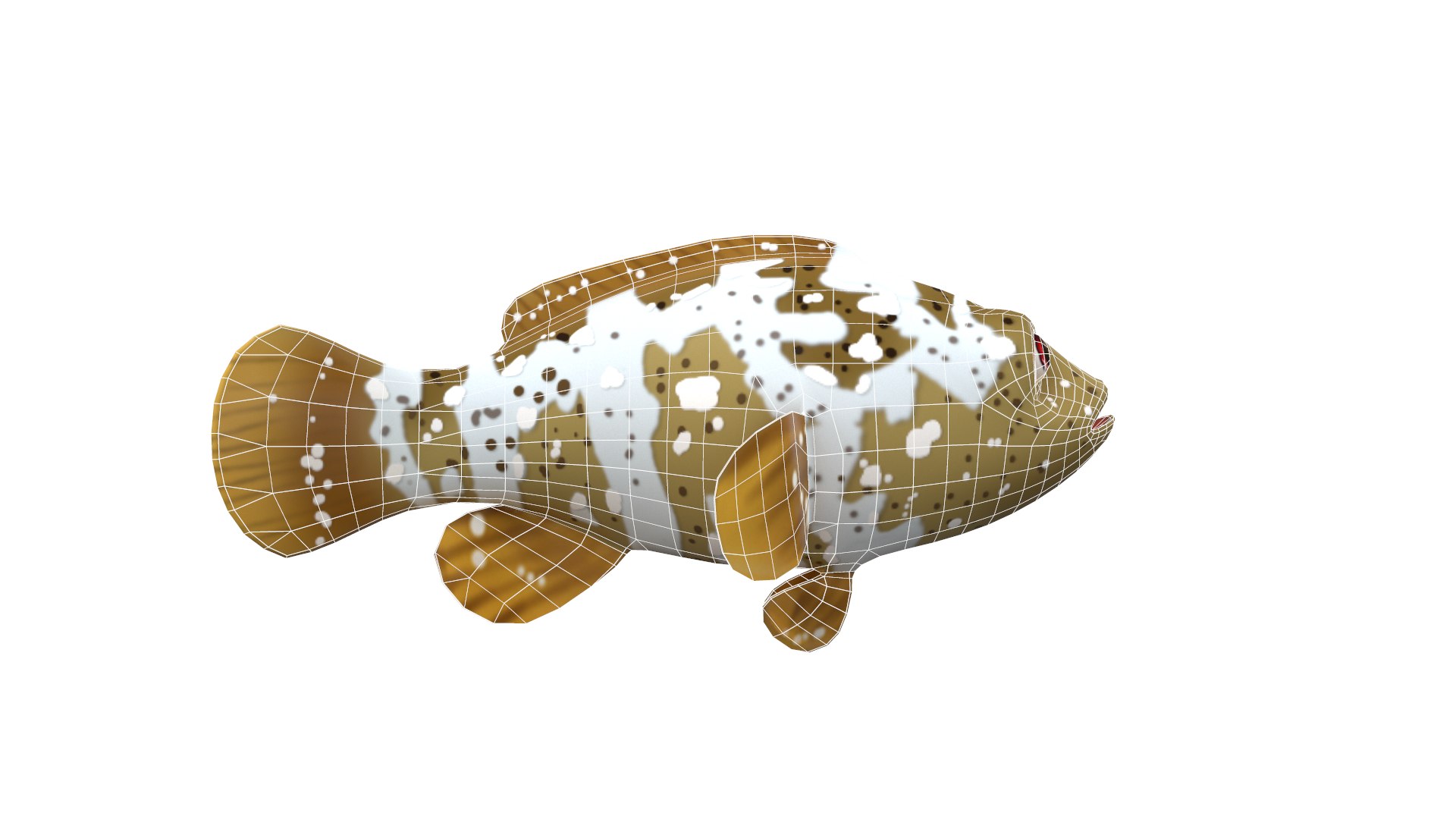 Malabar Grouper Fish Toon 3D Model - TurboSquid 1586145