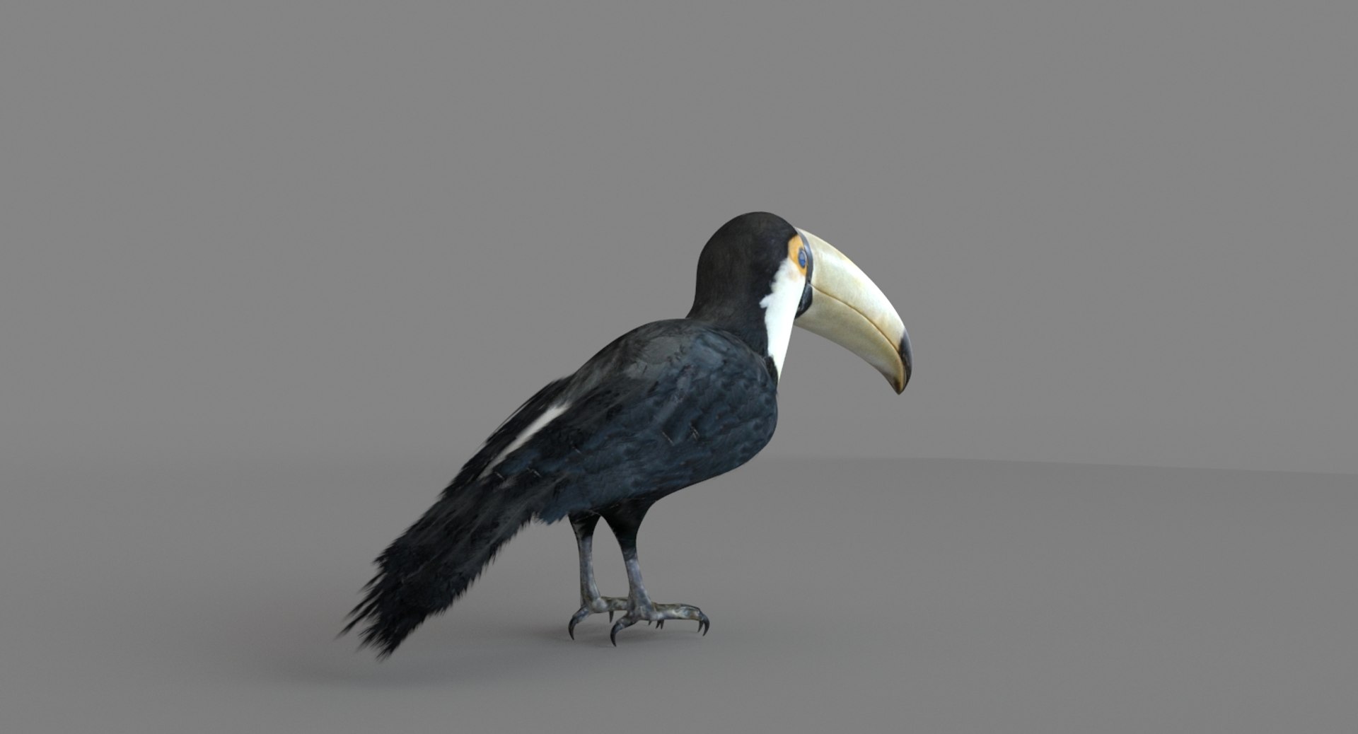 3D Realistic Toucan Model - TurboSquid 1306034