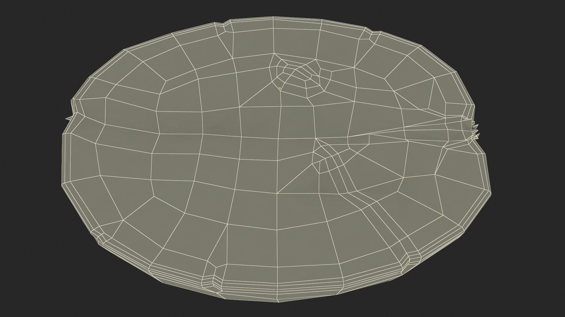 3D White Wine Grape Cross Section - TurboSquid 2128348