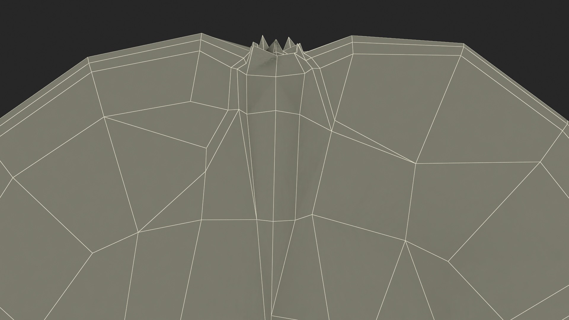 3D White Wine Grape Cross Section - TurboSquid 2128348