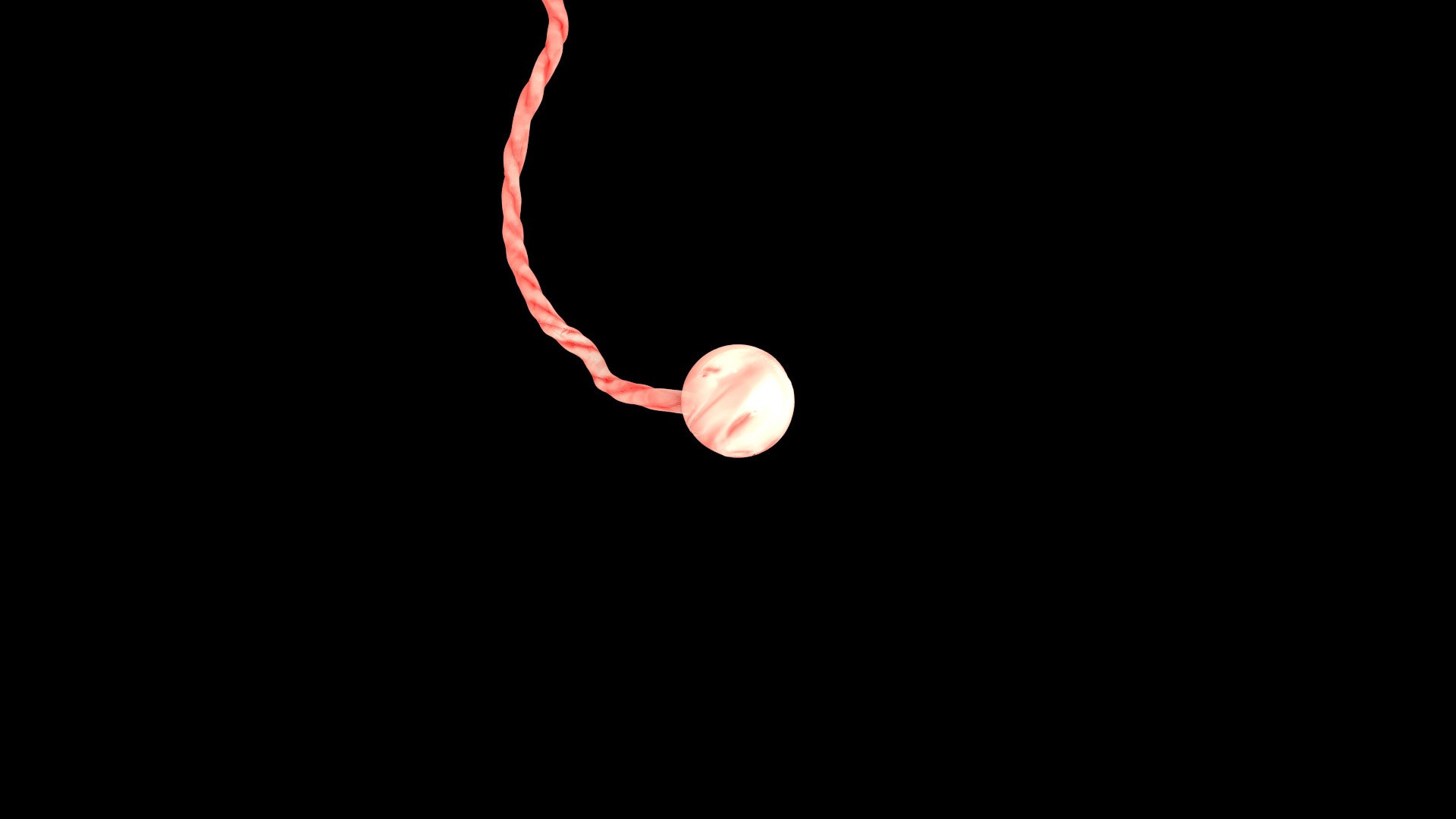 3D 2 Weeks Human Fetus Model - TurboSquid 2036750