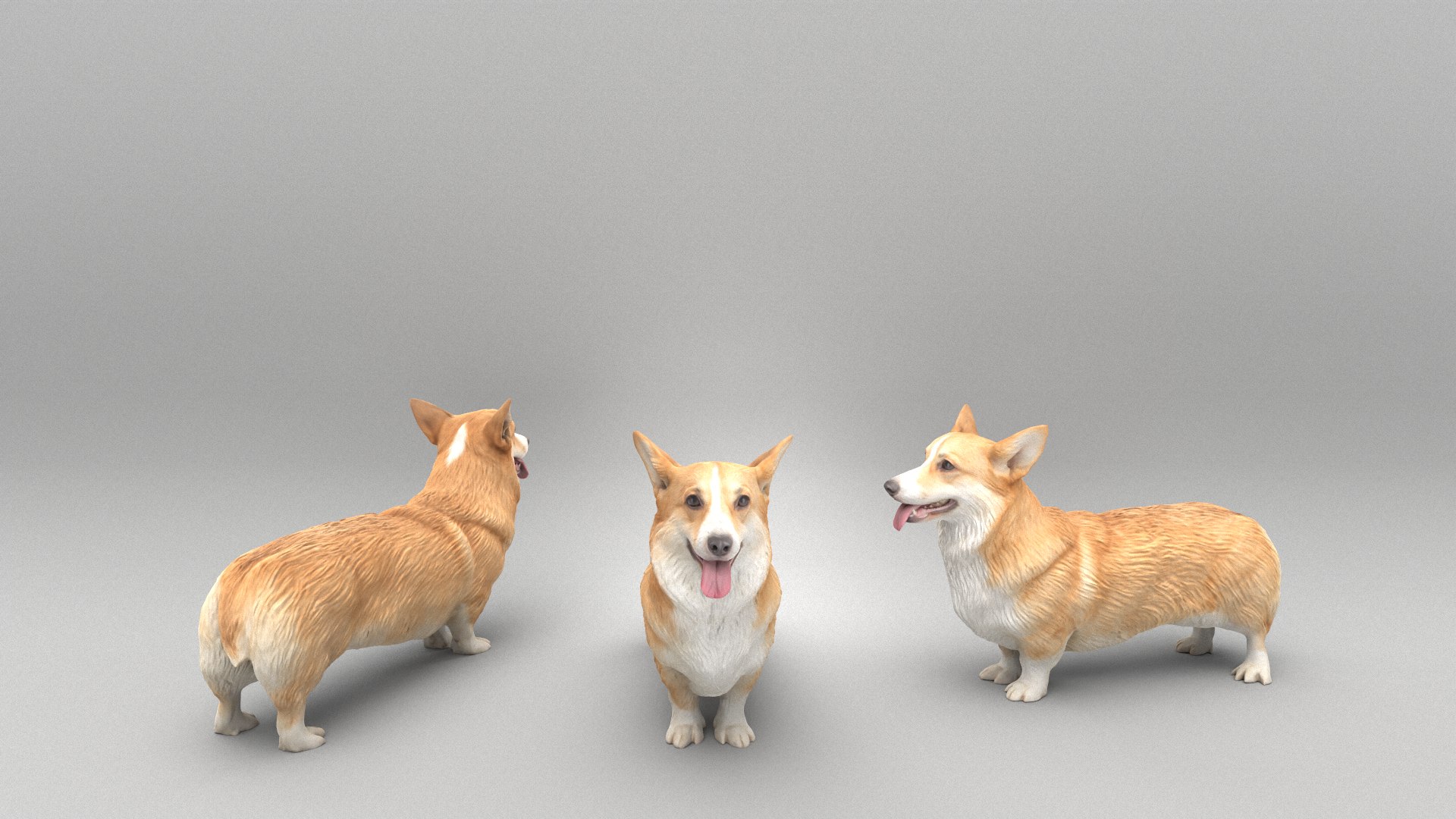 Corgi Dog 39 3D Model - TurboSquid 2138103