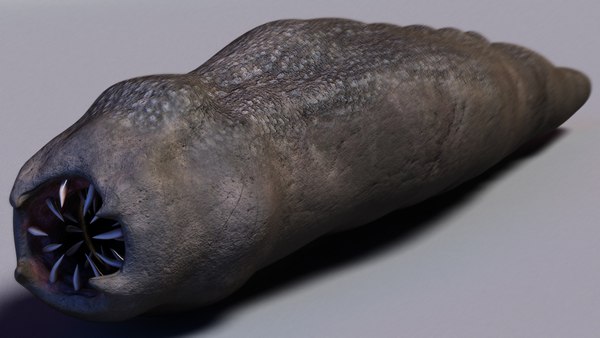 3D worm monster - TurboSquid 1606023