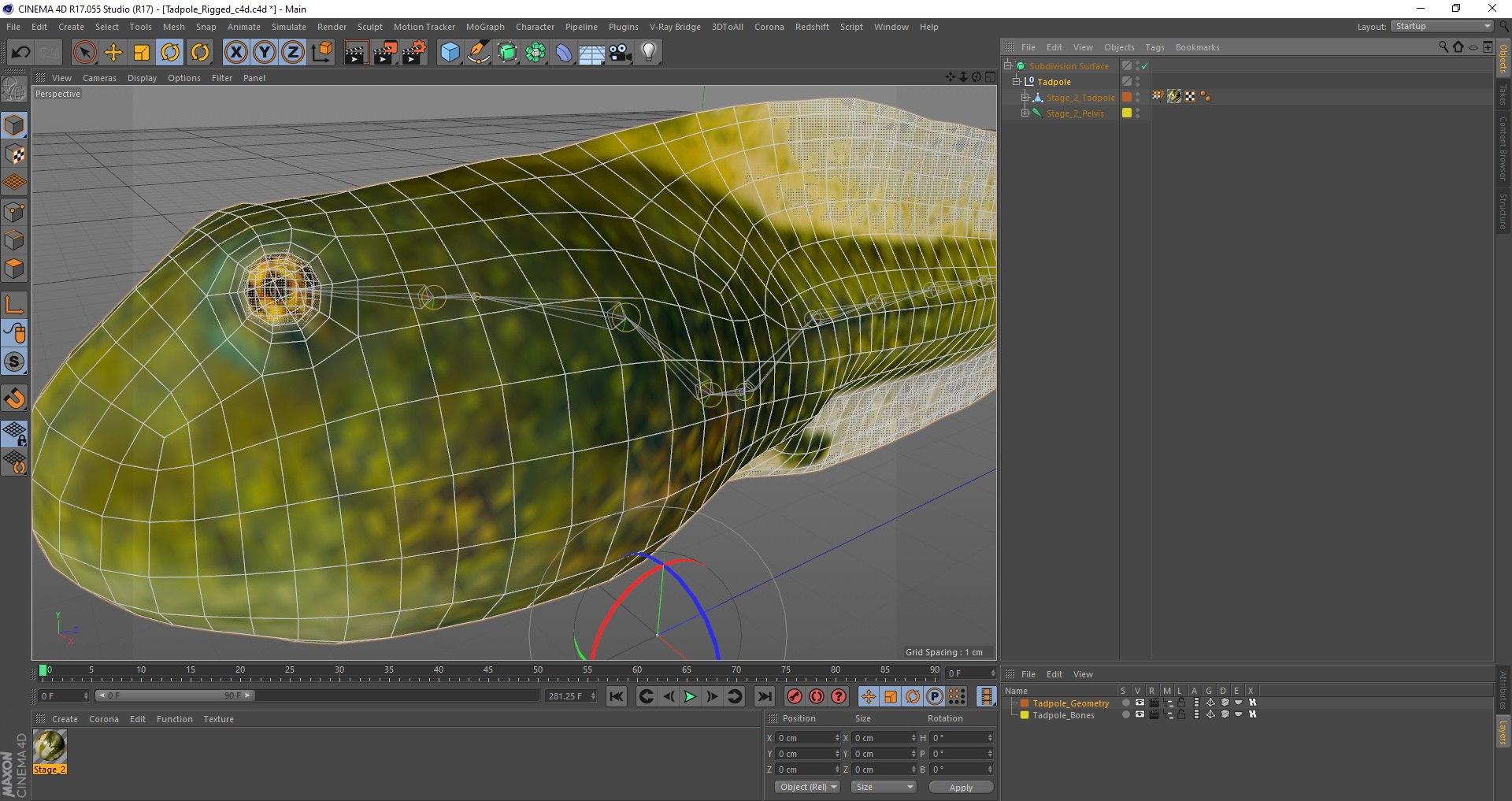 Tadpole Rigged For Cinema 4D 3D Model - TurboSquid 1717899