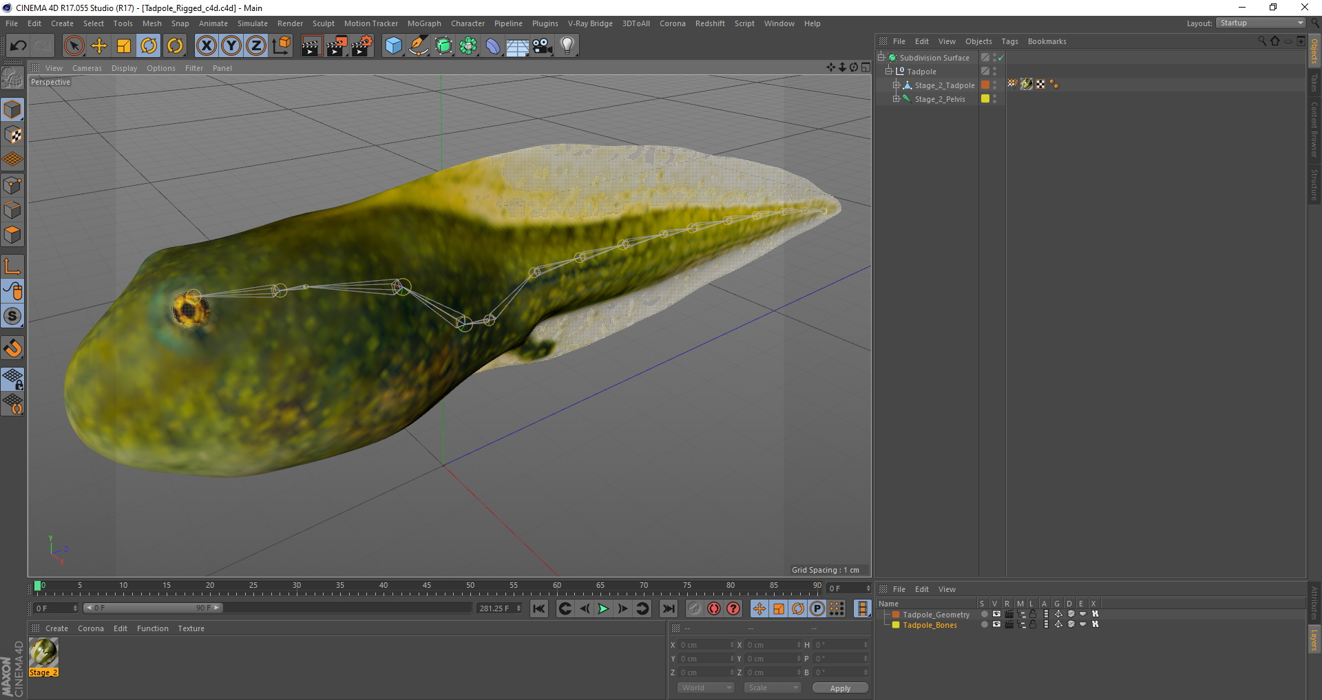 Tadpole Rigged for Cinema 4D 3D model - TurboSquid 1717899