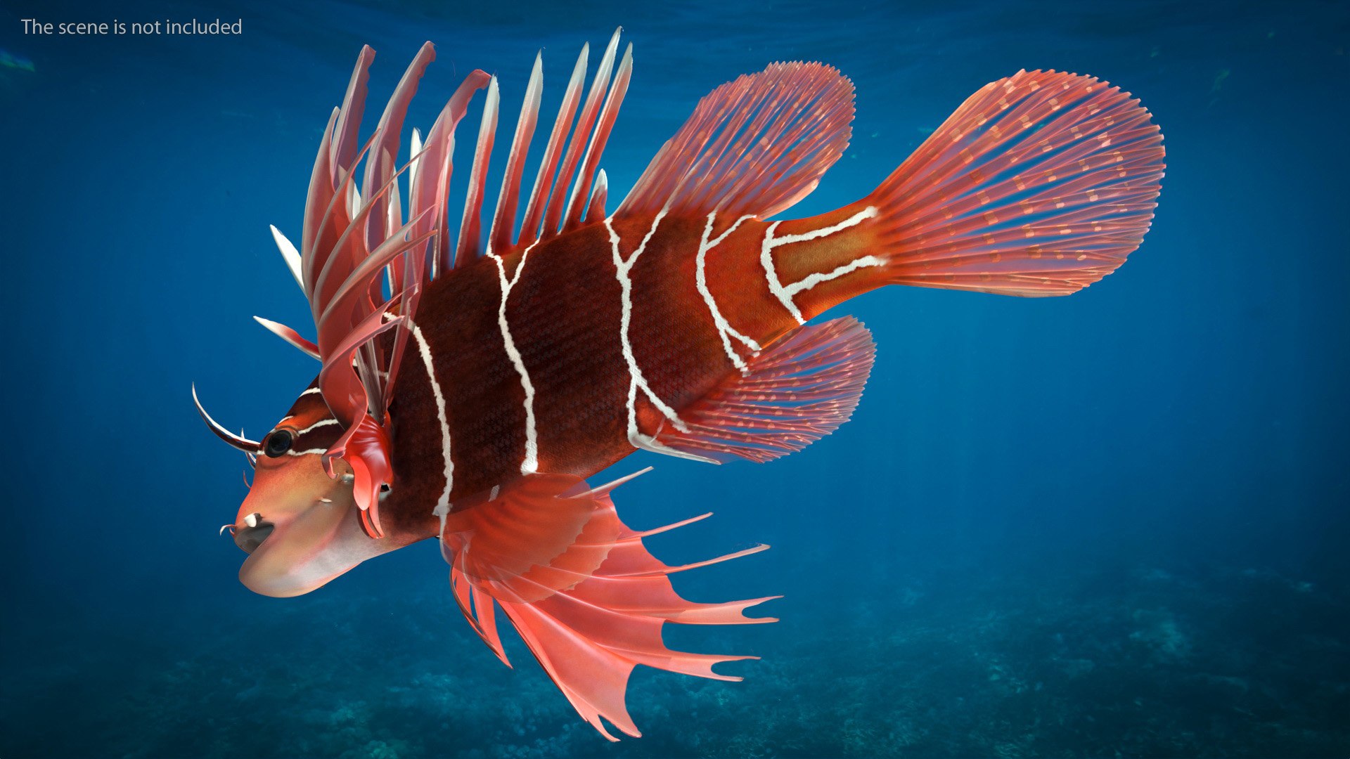 3D Clearfin Lionfish - TurboSquid 2000816