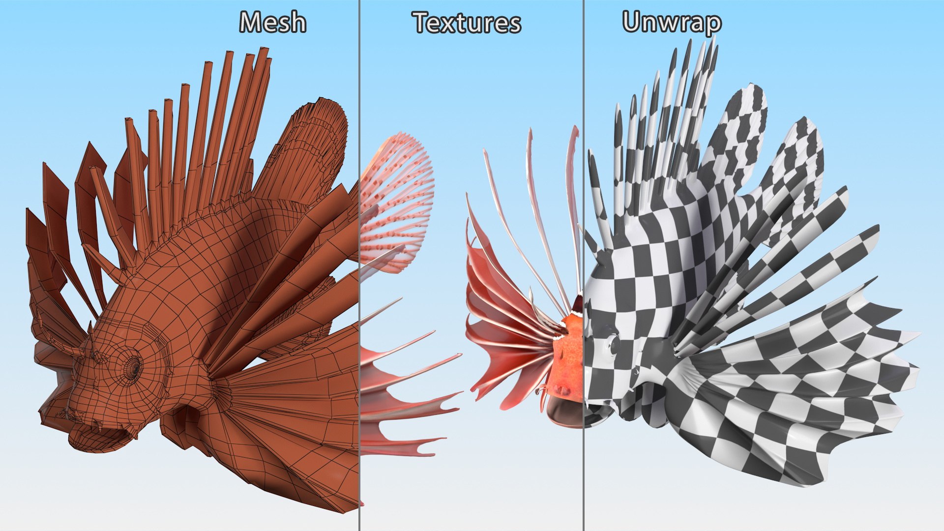 3D Clearfin Lionfish - TurboSquid 2000816