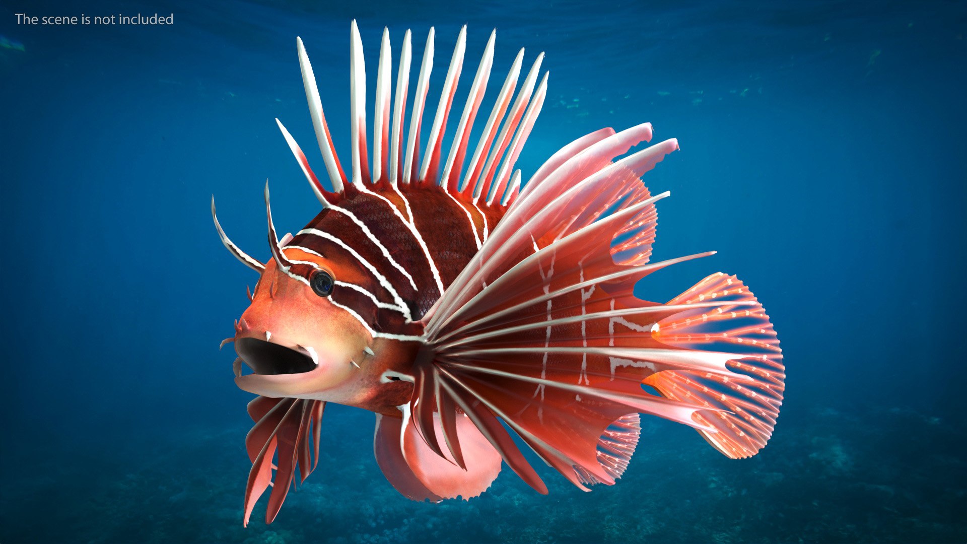 3D Clearfin Lionfish - TurboSquid 2000816
